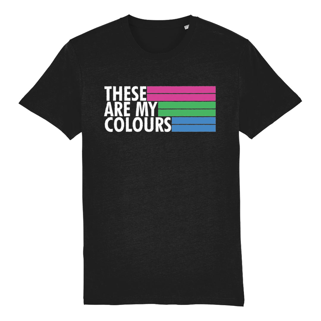 Polysexual Pride Shirt | Polysexual Flag T Shirt | Rainbow & Co