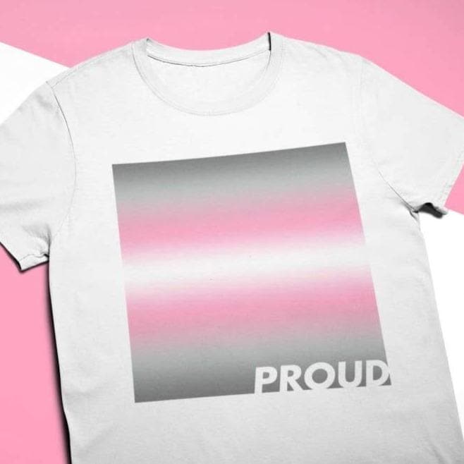 Demigirl Pride T Shirt | Demigirl Flag Shirt | Rainbow & Co